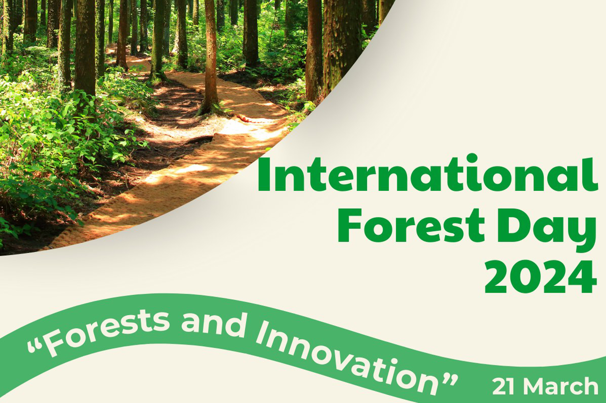 Happy International Day of Forests 2024